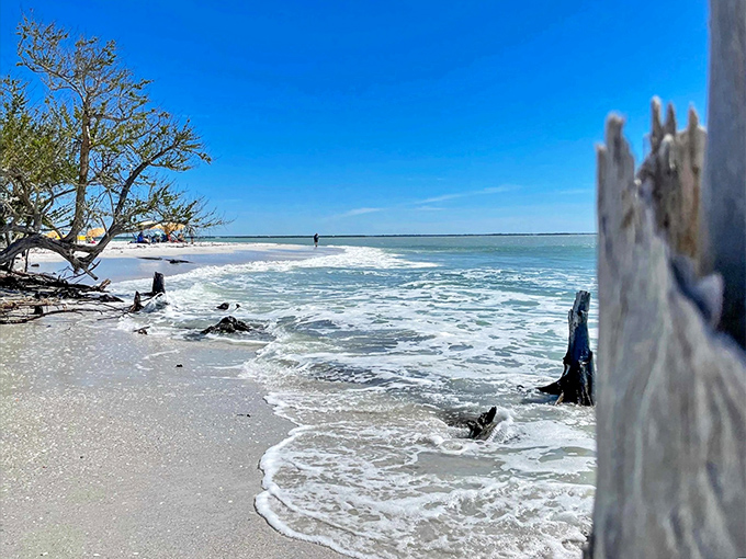 Nine miles of shells waiting like nature's garage sale, everything must go! 
