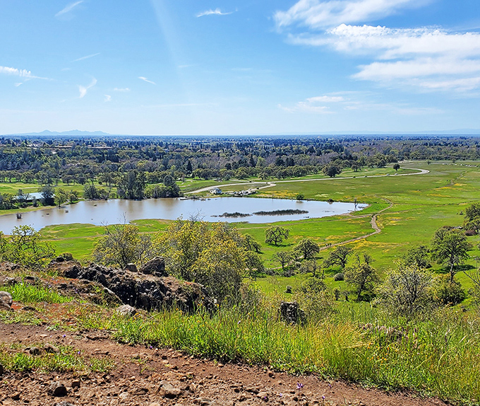 Green spaces create natural air conditioning, saving money on utilities while boosting your daily mood.