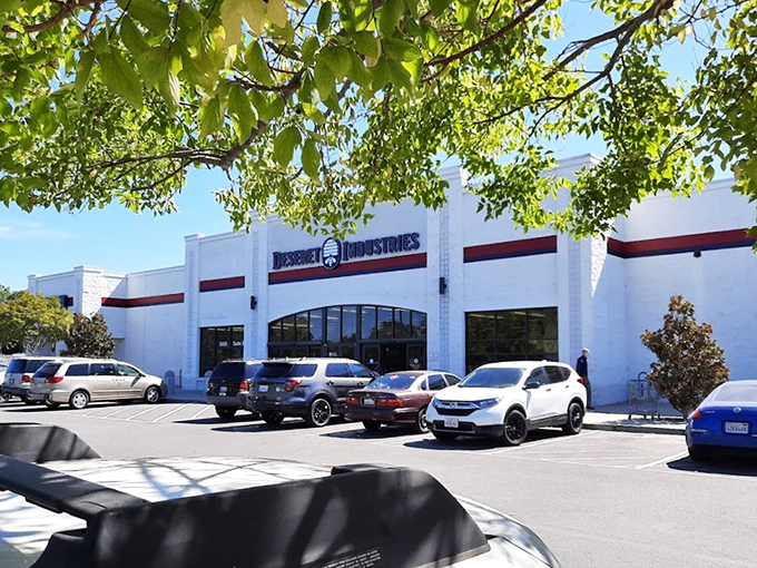 When a thrift store needs this much parking, you know the bargain hunters have discovered something extraordinary.