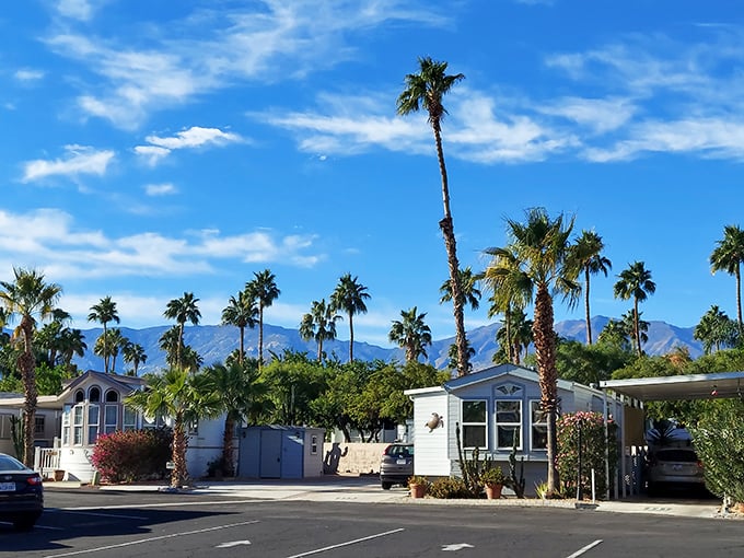 Mountain views come free with every home site - because some of life's best amenities can't be priced.