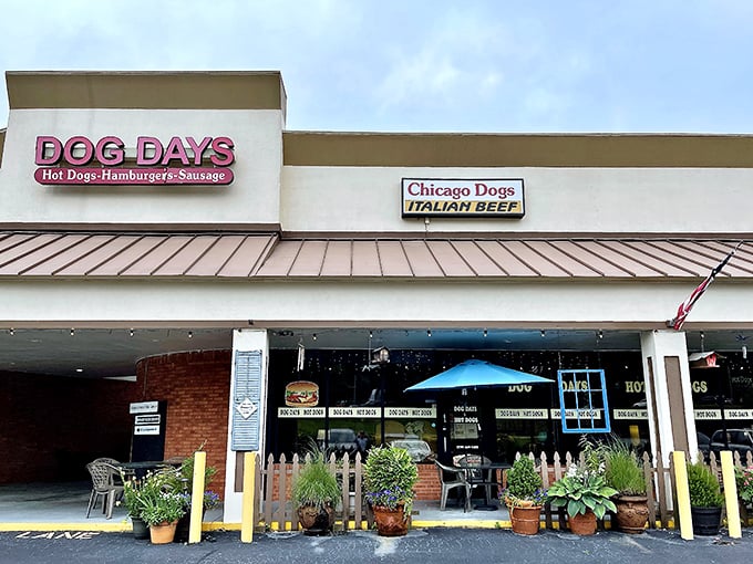 Clean lines and professional signage prove that great hot dogs work anywhere they're served.