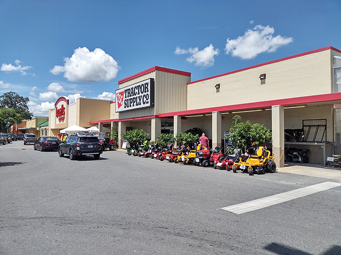 Rainbow River country beckons with crystal-clear promises of adventure, where every paddle stroke reveals natural wonders.