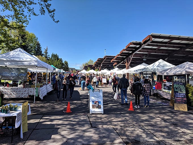 Shopping with a view! White tents against Flagstaff's blue skies create a picture-perfect mountain town marketplace.