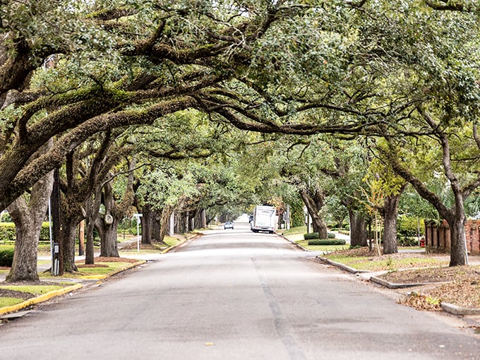 Centuries-old oak trees form a living canopy over this Georgetown neighborhood. Try finding this in a retirement community brochure!