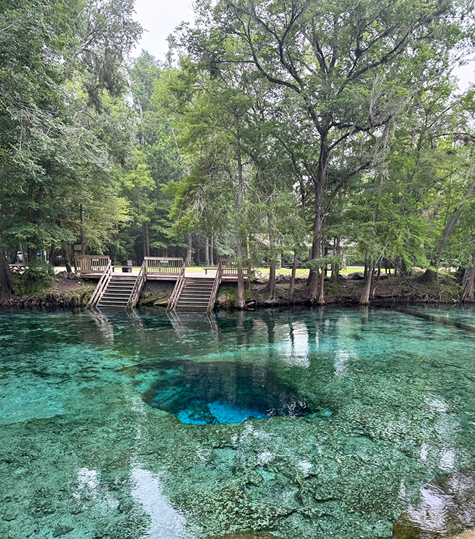 "The ultimate 'clear blue' that no swimming pool can match. Ginnie Springs offers underwater visibility that would make a submarine captain jealous."