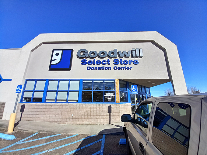 Clean, modern interiors make thrift shopping feel less like hunting and more like discovering.