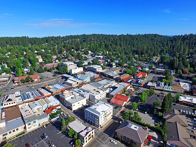 The majestic forest dominates the horizon, offering world-class views at surprisingly affordable living costs.