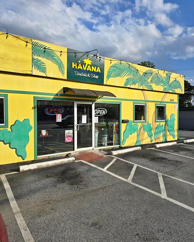 Those palm trees and bright colors promise a sandwich vacation that your taste buds won't forget.