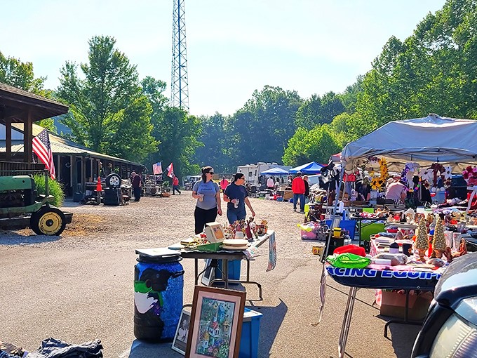 Vendors display their wares under blue skies at Hocking Hills Market. The perfect blend of country charm and bargain hunting!