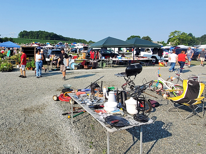 Rustic wooden beams overhead frame endless possibilities for discovering your next favorite vintage find.