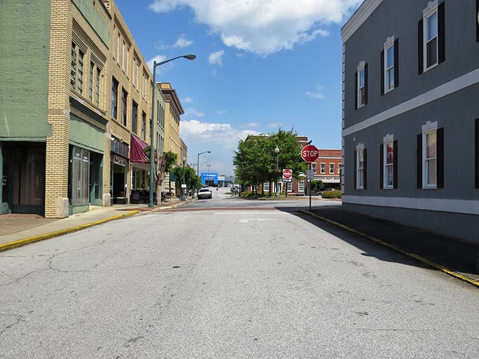 These tree-lined streets have mastered the art of graceful aging, just like the retirees who call them home.