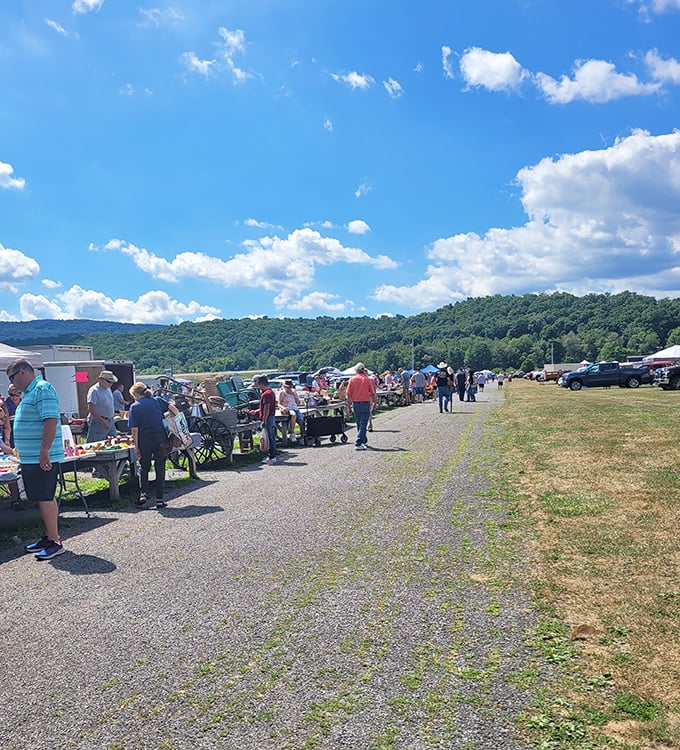 Nothing says summer quite like sunshine, rolling hills, and endless tables of treasures waiting for discovery.