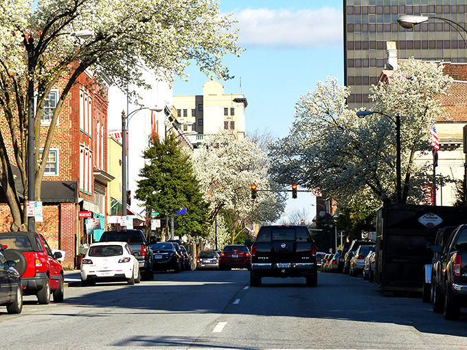 The Hill City's downtown pulses with new energy while keeping its Southern soul intact. 