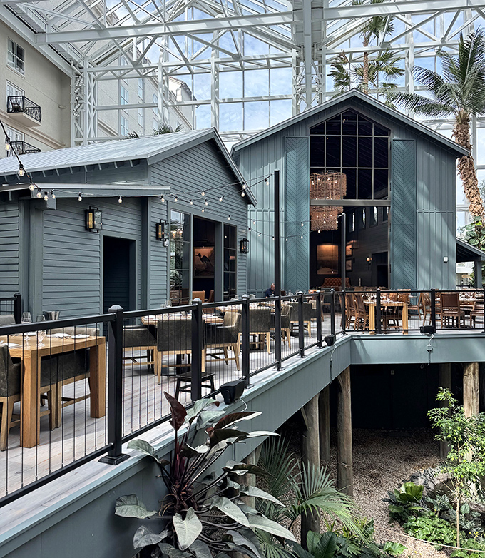 The glass atrium creates an unexpected garden oasis where exceptional steaks meet natural beauty perfectly.