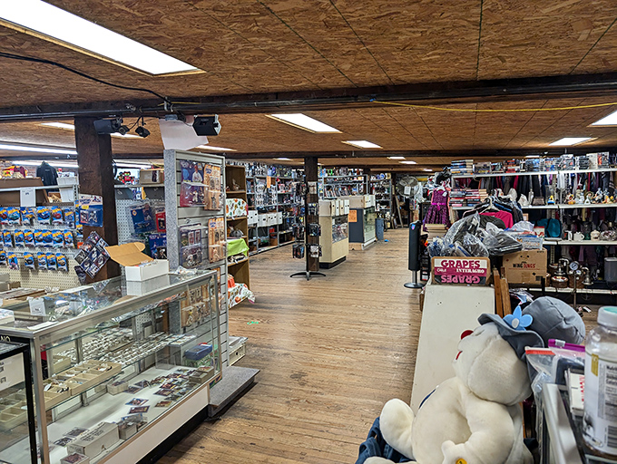 Wooden floors and organized displays create the perfect atmosphere for leisurely browsing through decades of American memories.