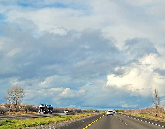 Ah, the open road! Where the horizon teases adventure and the clouds paint stories in motion.