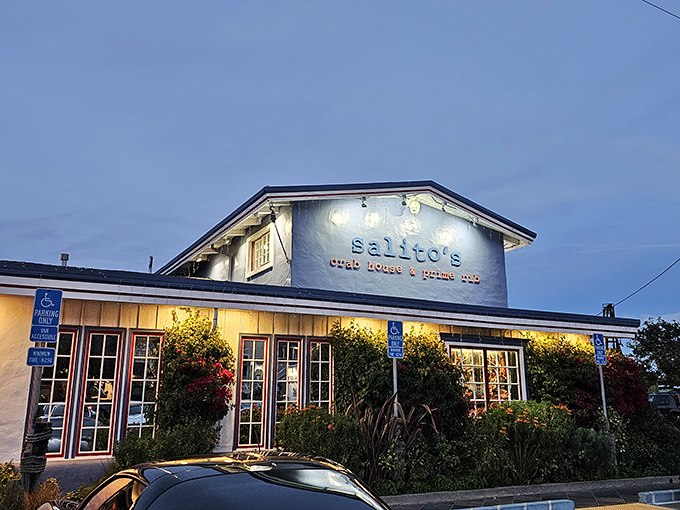 Those windows frame San Francisco Bay like a living postcard that changes with every passing boat and seabird.