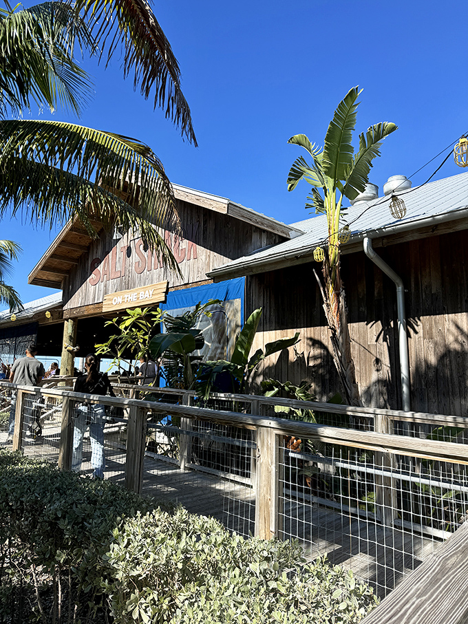 Where weathered wood meets waterfront views, Salt Shack serves up sunsets and seafood in equal measure.