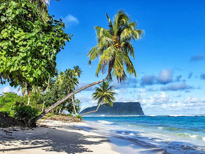 Palm trees sway over pristine beaches, creating your own private resort experience at hometown prices.