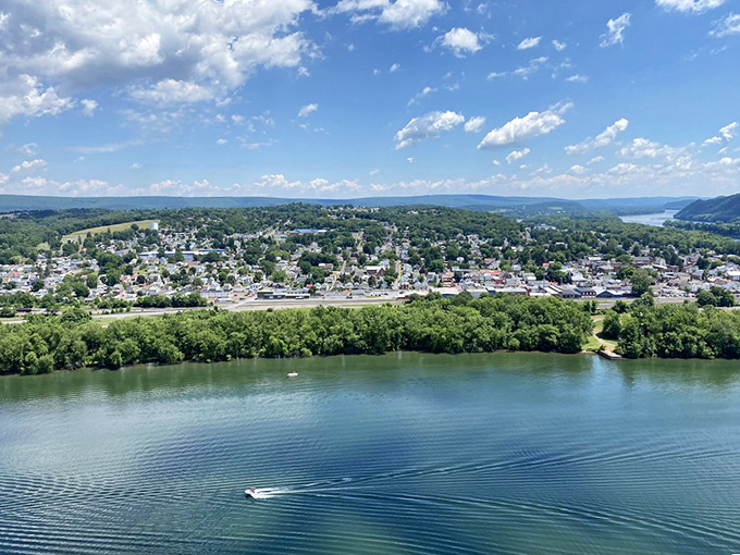 The Susquehanna curves past Selinsgrove with the grace of a dancer, creating postcard views everywhere.