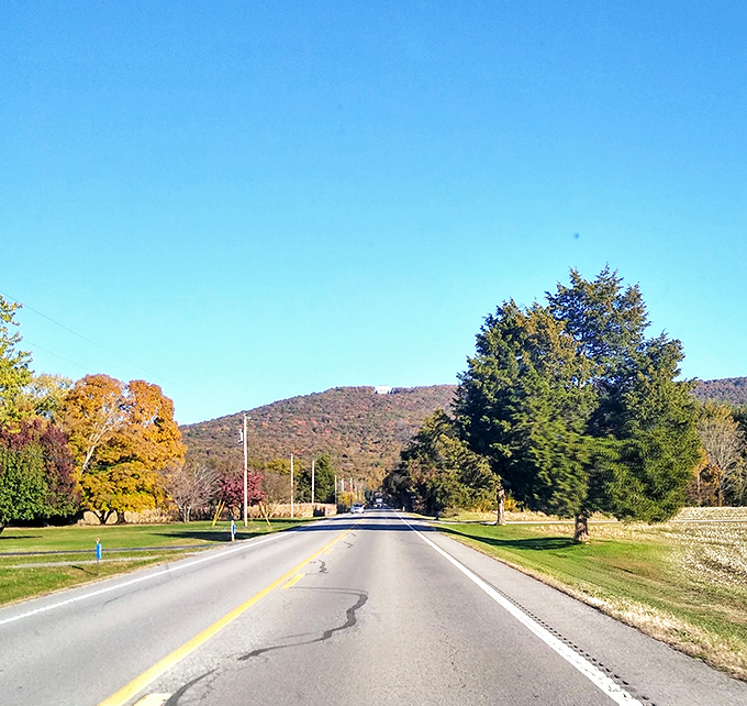 Autumn colors paint the landscape like nature's own masterpiece, changing daily but always stunning.