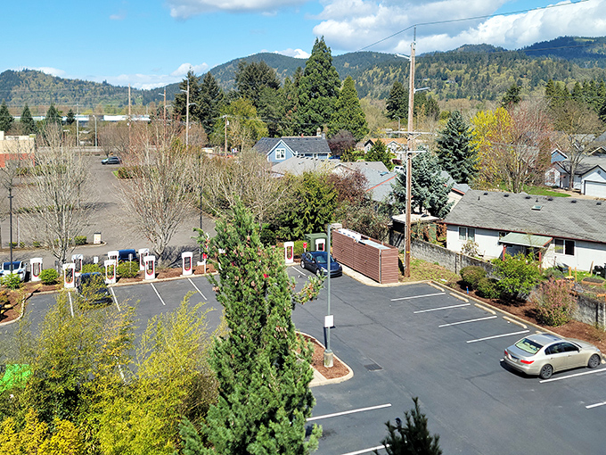 Tree-lined neighborhoods in Springfield offer peaceful retirement living with mountain views that never get old.