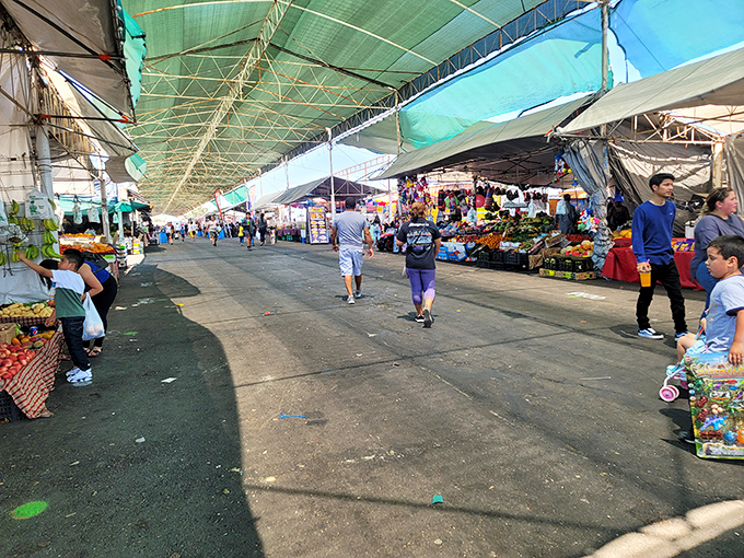 Fresh fruits and vegetables add natural color to this multicultural marketplace where communities gather weekly.