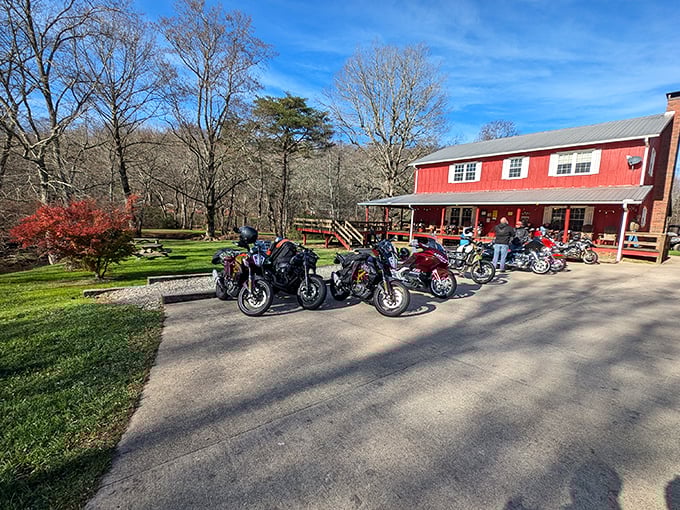 Suches welcomes bikers and nature lovers alike to Georgia's "Valley Above the Clouds"&mdash;elevation included, attitude optional.