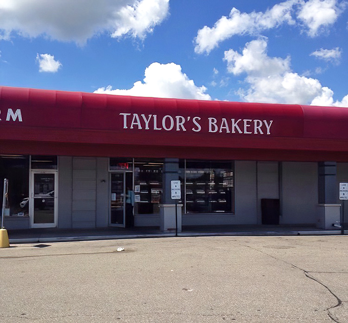 Clean, classic, and calling your name - some bakeries just know how to make an entrance.