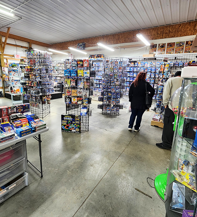 Inside, organized displays of collectibles await those with a keen eye for hidden gems.