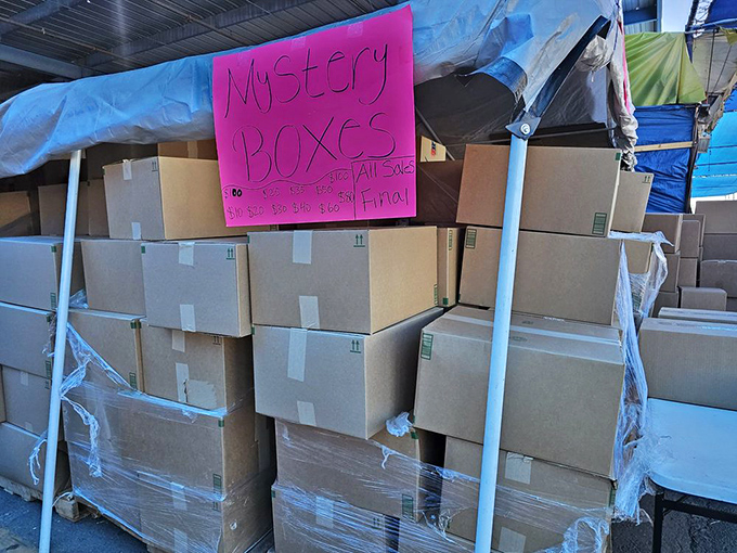Mystery boxes&mdash;the ultimate gamble for the adventurous shopper. What treasures lurk within these cardboard cubes? Only the brave will discover!