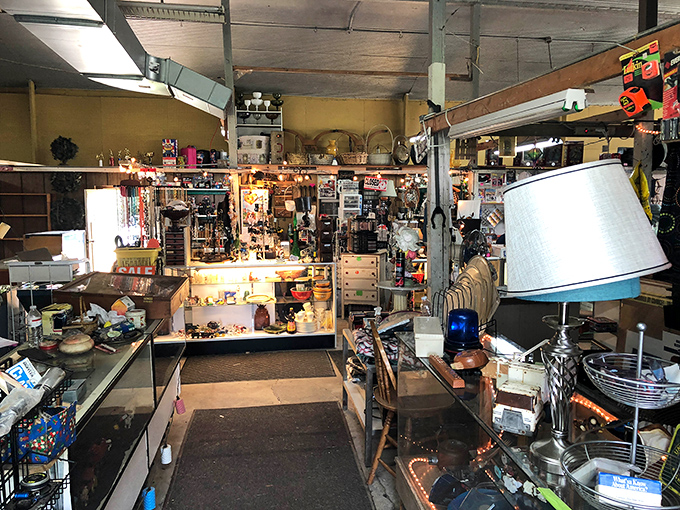 The organized chaos of a veteran vendor's booth. That blue lamp could illuminate your reading nook or signal aliens&mdash;versatility is key.
