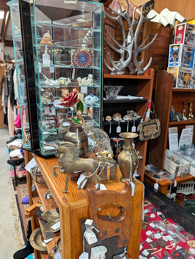 This display case doesn't just hold trinkets&mdash;it preserves memories, stories, and craftsmanship from when things were built to last.