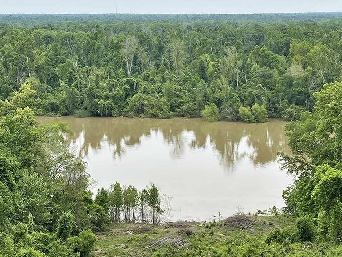 The Apalachicola River carving its path through the landscape, like nature's own highway system, minus the traffic jams.