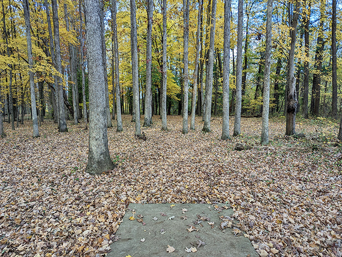 When Ohio decides to show off, it doesn't hold back &ndash; autumn here is nature's mic drop.