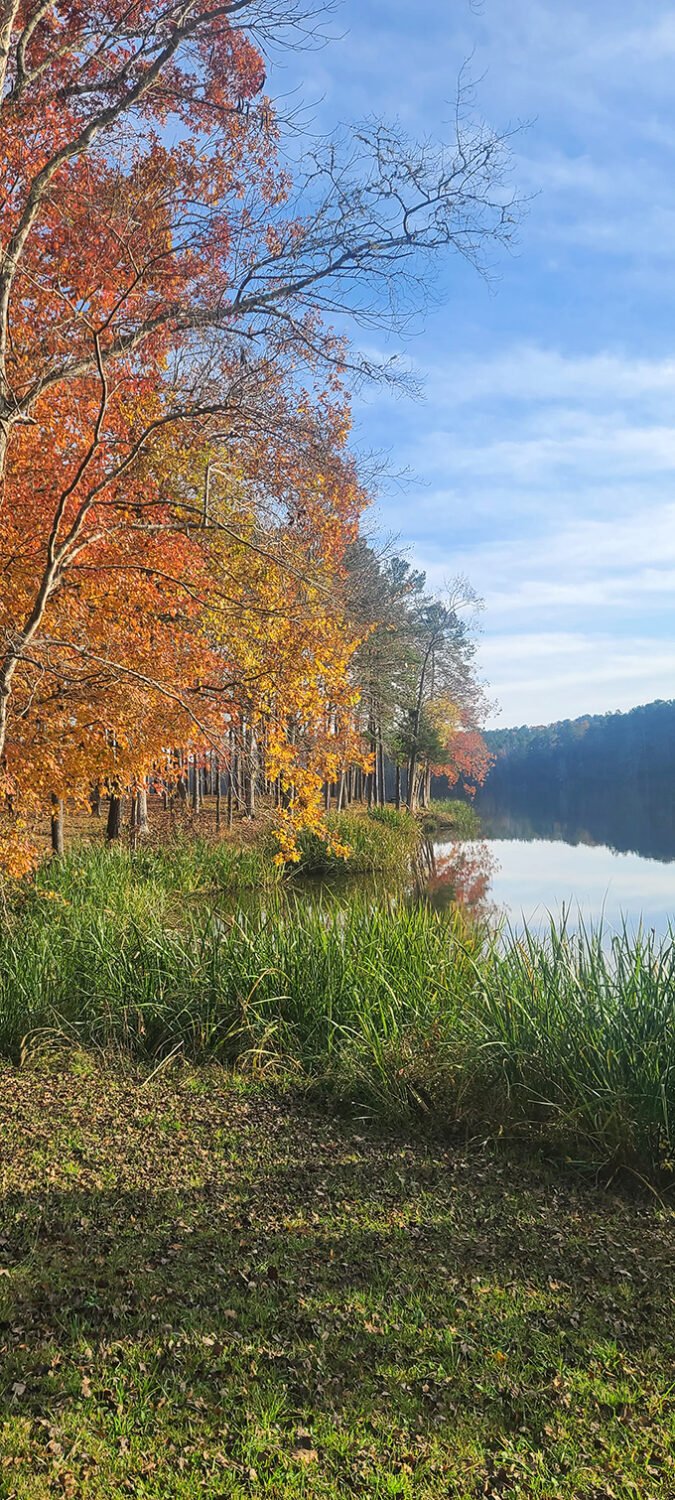 Autumn paints Chester State Park with a palette that would make Bob Ross weep with joy&mdash;vibrant oranges and yellows reflecting perfectly in the still waters.