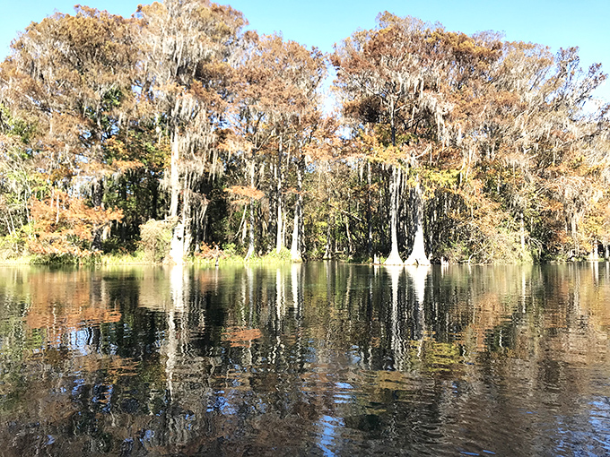 Autumn in Florida has its own subtle beauty&mdash;cypress trees dressed in fall colors create perfect mirror images on the glassy water.