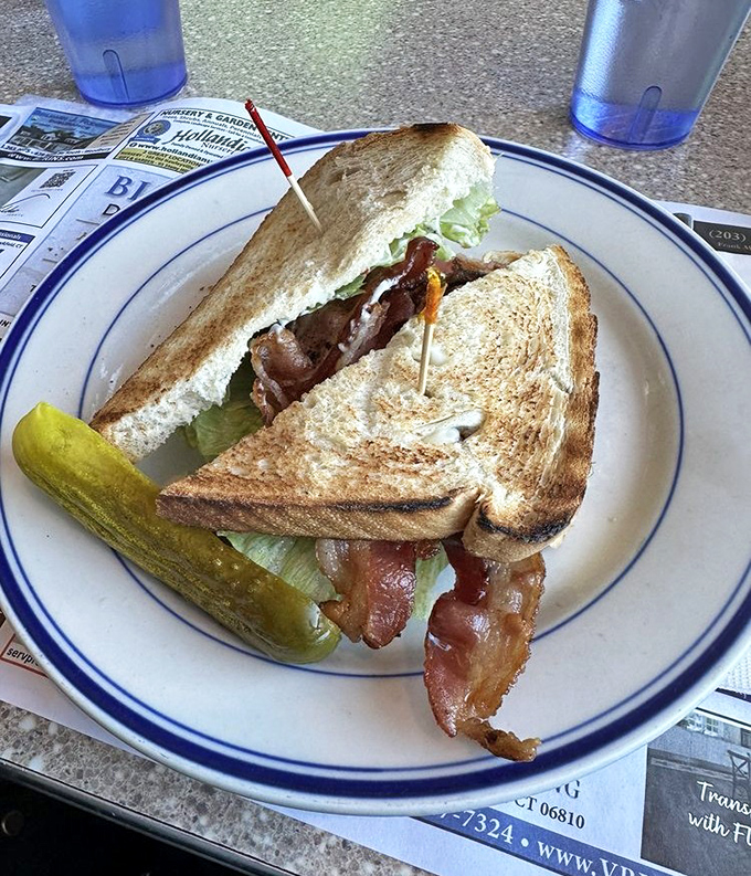 The humble BLT, elevated to art form with perfectly toasted bread, crisp lettuce, and bacon that clearly took the scenic route through the smoker.