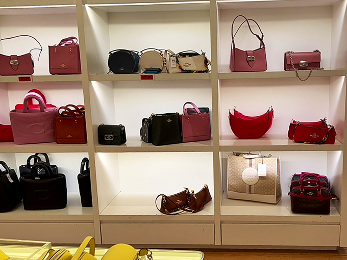 Handbags displayed like museum pieces, each one silently whispering, "I could be the one that finally organizes your chaotic life."