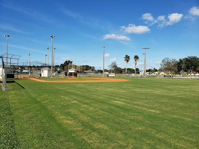 Dreams of the big leagues begin on fields like this, where Florida's endless summer allows for year-round baseball and childhood memories in the making.