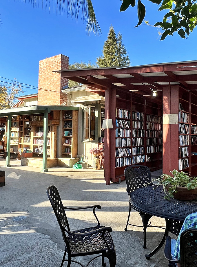 Bart's Books, where shelves extend outdoors under the California sun, proving that the only thing better than a good book is reading it al fresco.