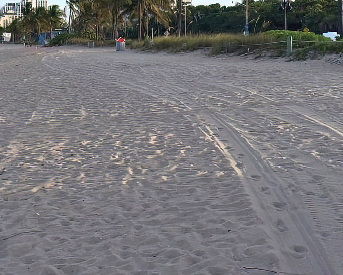 Nature's welcome mat: The sandy approach to Fort Lauderdale Beach invites barefoot exploration and temporary escape from whatever awaits in your inbox.