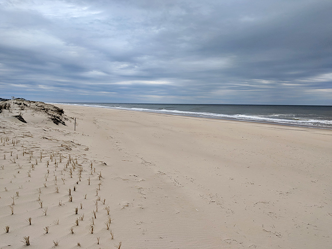 Winter beaches offer solitude that summer crowds can only dream about. The ocean doesn't close for the season&mdash;it just gets more exclusive.