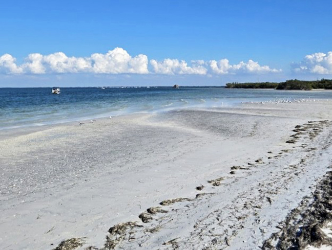 Pristine white sands meet crystal waters in a scene so perfect it looks like someone's desktop background come to life.