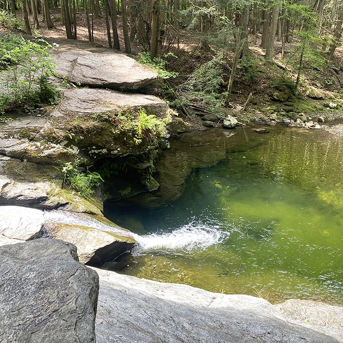Bellevue Falls creates its own emerald swimming hole, nature's version of a country club pool minus the dues. 