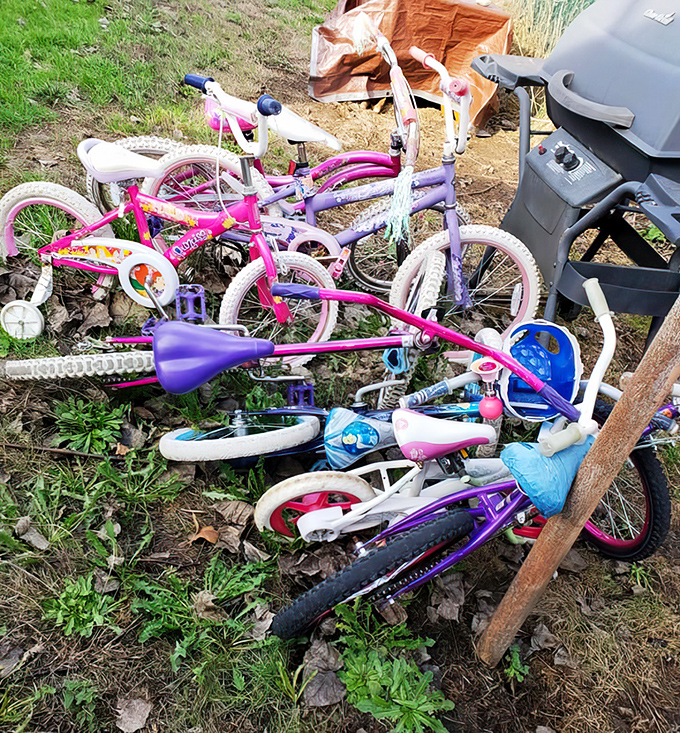 Two-wheeled time machines waiting for someone brave enough to oil the chains and dream again.