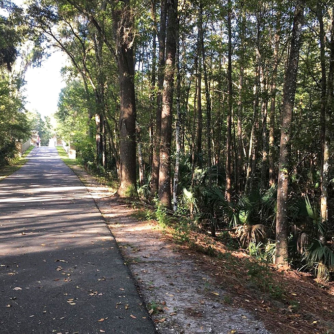 The Rainbow River Trail offers shaded serenity for walkers and cyclists, where dappled sunlight creates nature's own air conditioning.