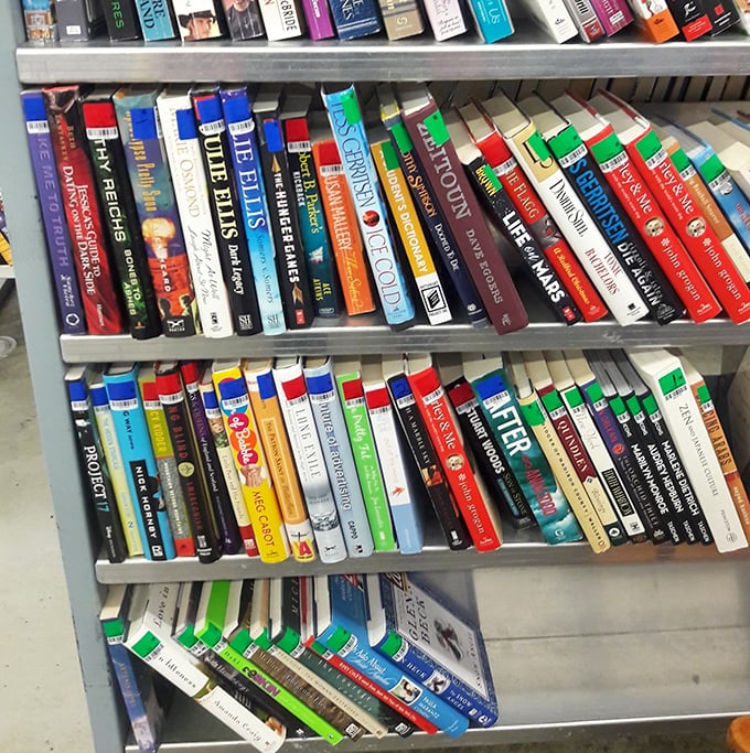 Books stack up like literary gold mines, offering adventures and knowledge at prices that won't break budgets.