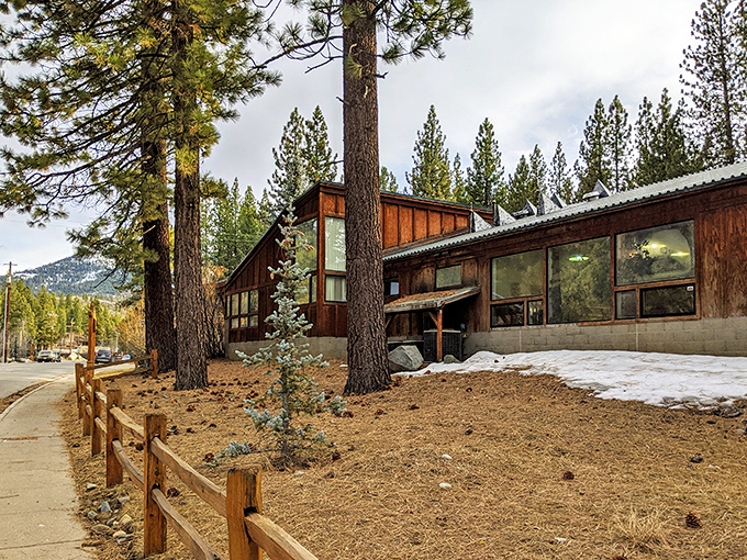 The Portola Branch Library nestles among towering pines, offering literary escapes to match the natural ones just outside its windows.