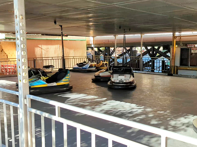 Classic bumper cars await their next drivers. In a world of virtual everything, there's something beautifully analog about deliberately crashing into strangers.